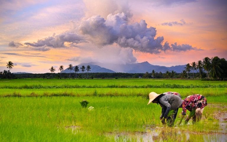 √ Bulan Jawa : Ngelmu Titen Petani Jawa dalam Pranata Mangsa